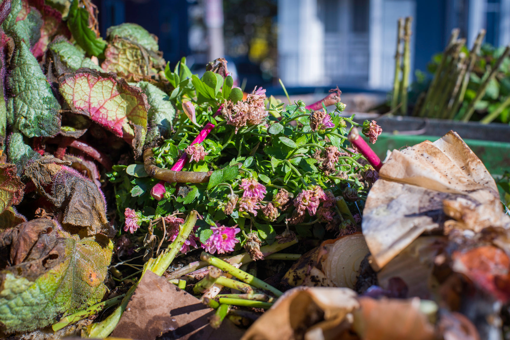 Garbage to Garden